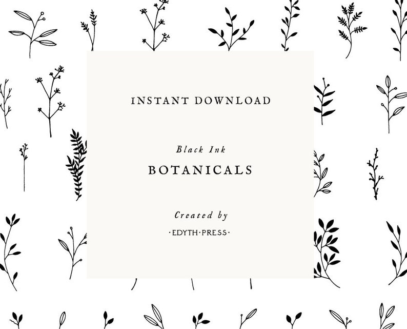 Botanical Clip art Hand Drawn Clipart black leaf png svg eps - Etsy 日本