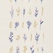 Floral Clipart Navy Blue Blush Pink Gold Vector Floral Png Svg Flowers ...