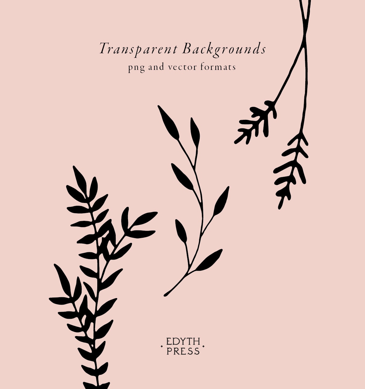 Botanique Clip art Hand Drawn Clipart feuille noire png svg | Etsy