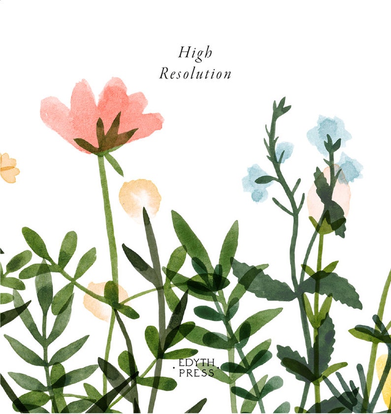 Wildflower Clipart Watercolor Floral Botanical Hand Drawn Png Flowers ...