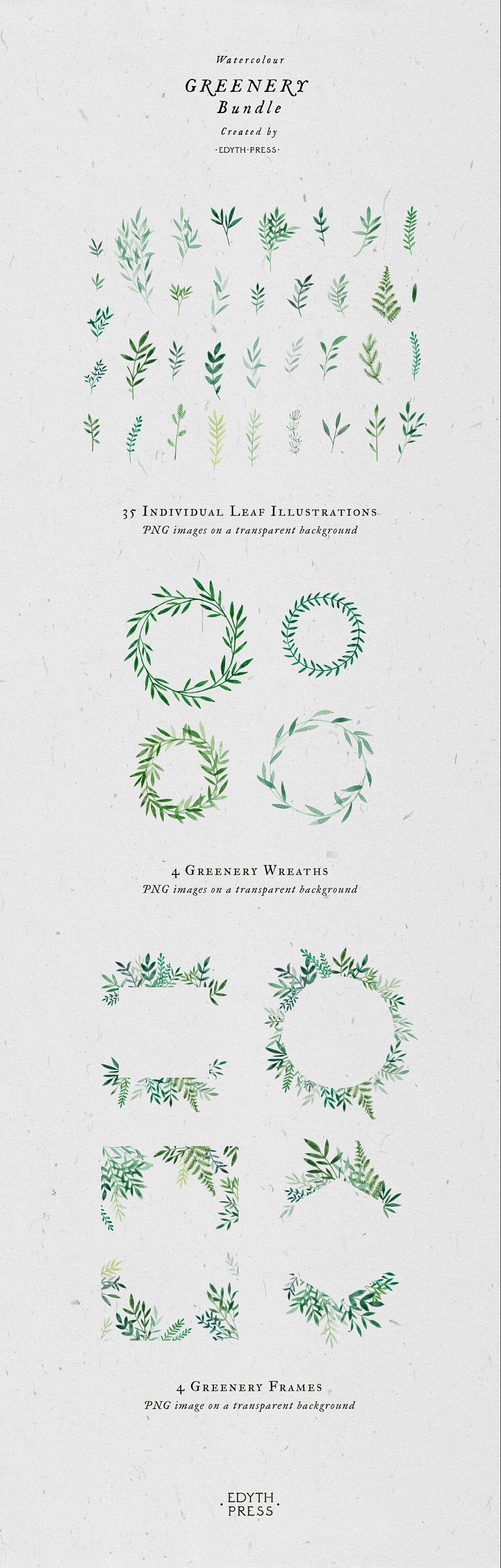 Green Leaf Clipart Greenery Botanical Watercolor Bundle Leaves | Etsy