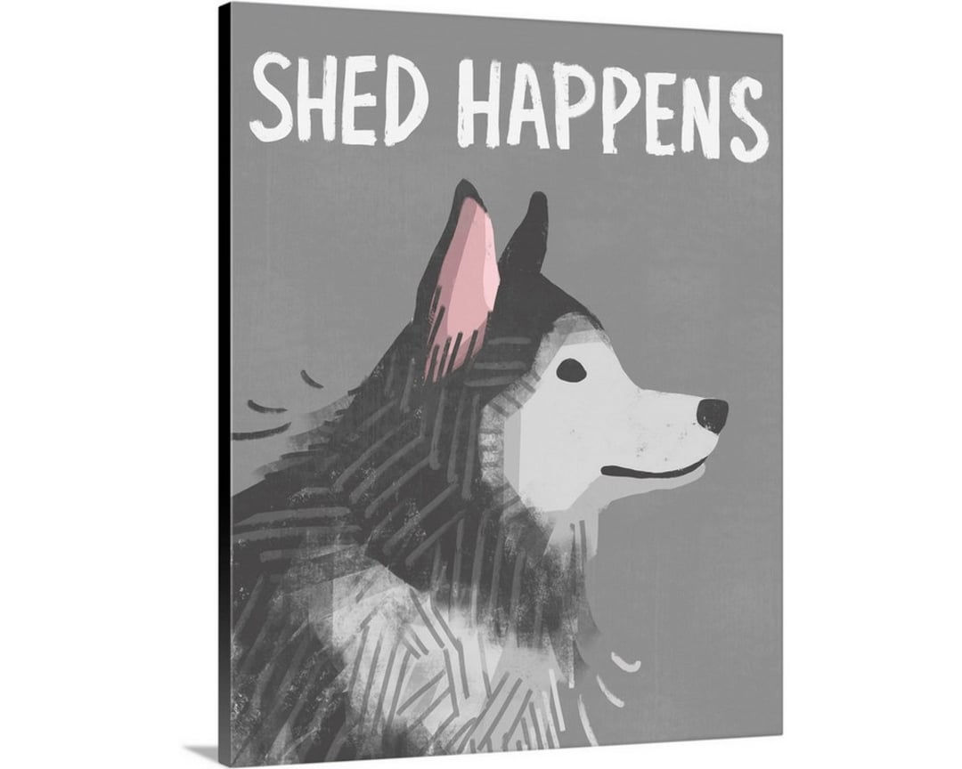 Husky shed Happens Canvas Wall Art Print Dog Wall Decor - Etsy