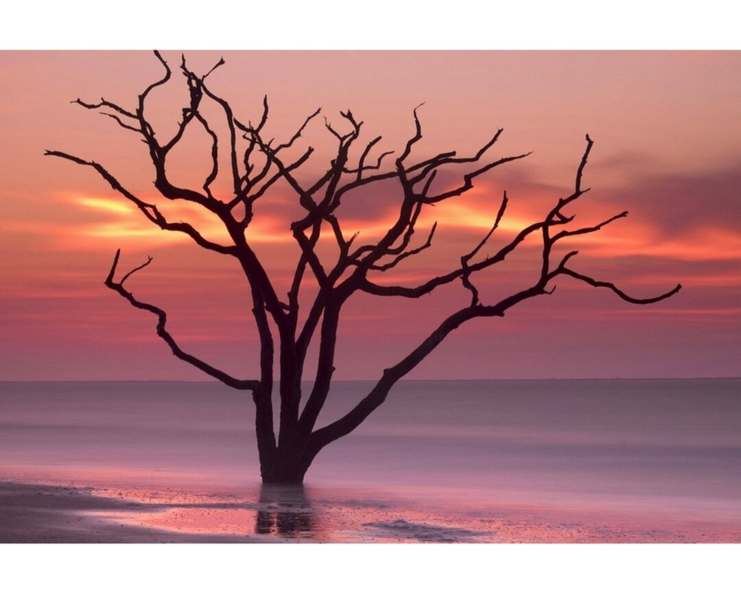 Dawn on Botany Bay Metal Wall Art Print - Etsy