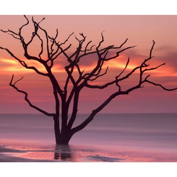 Botany Bay Wall Art - Etsy