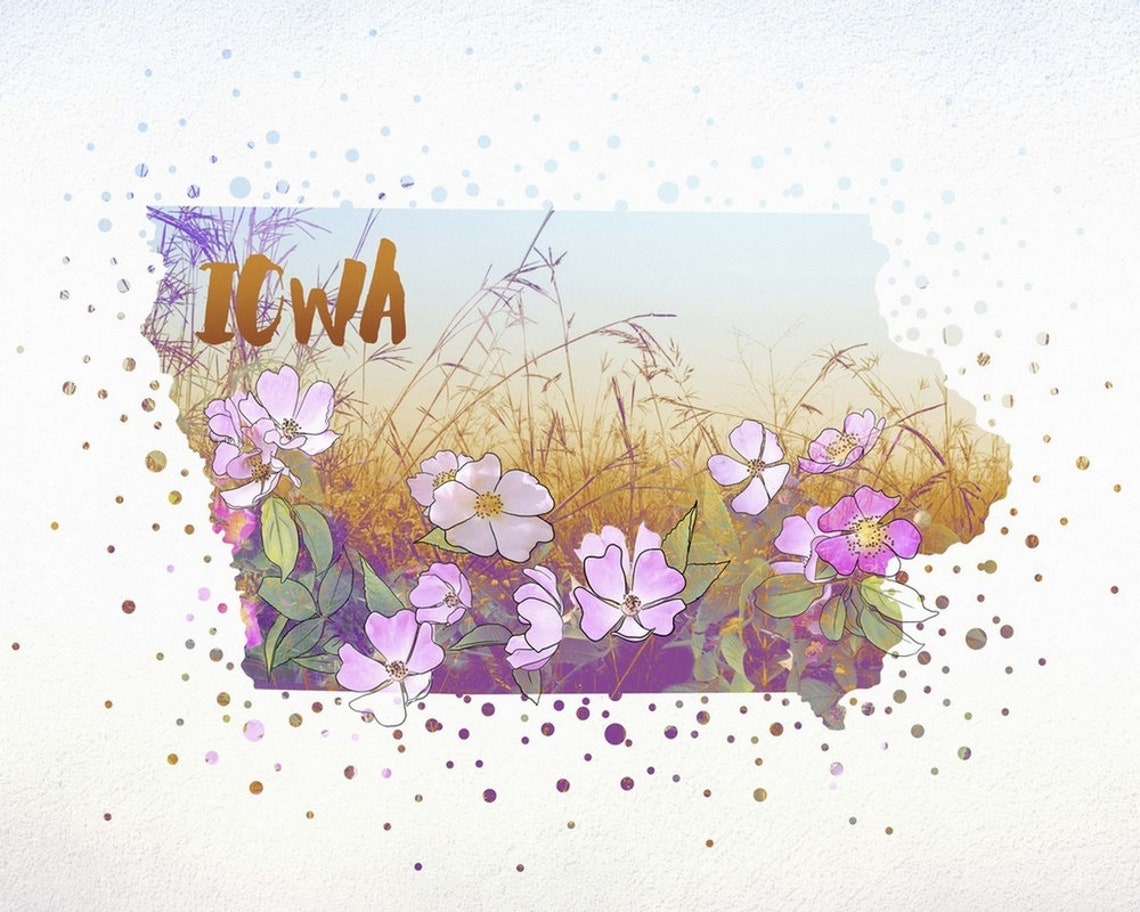 Iowa State Flower wild Rose Metal Wall Art Print - Etsy