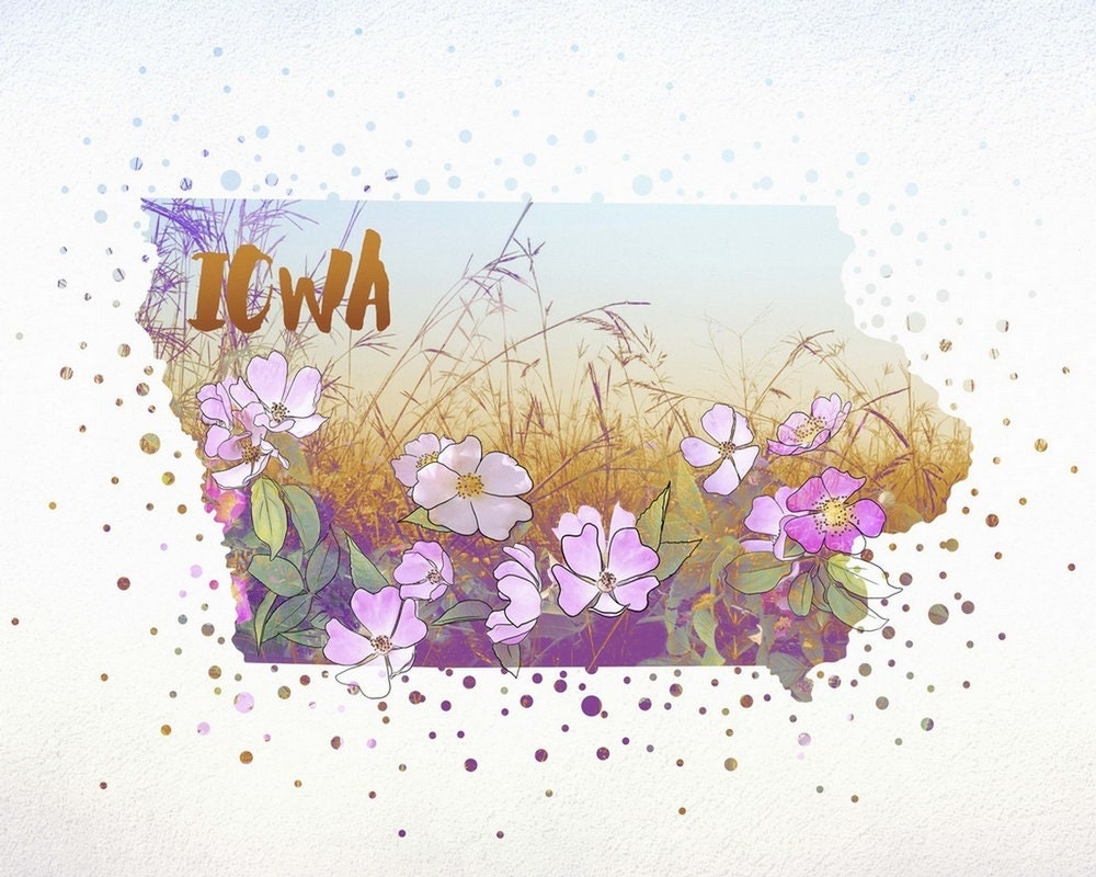 Iowa State Flower Wild Rose Metal Wall Art Print | Etsy