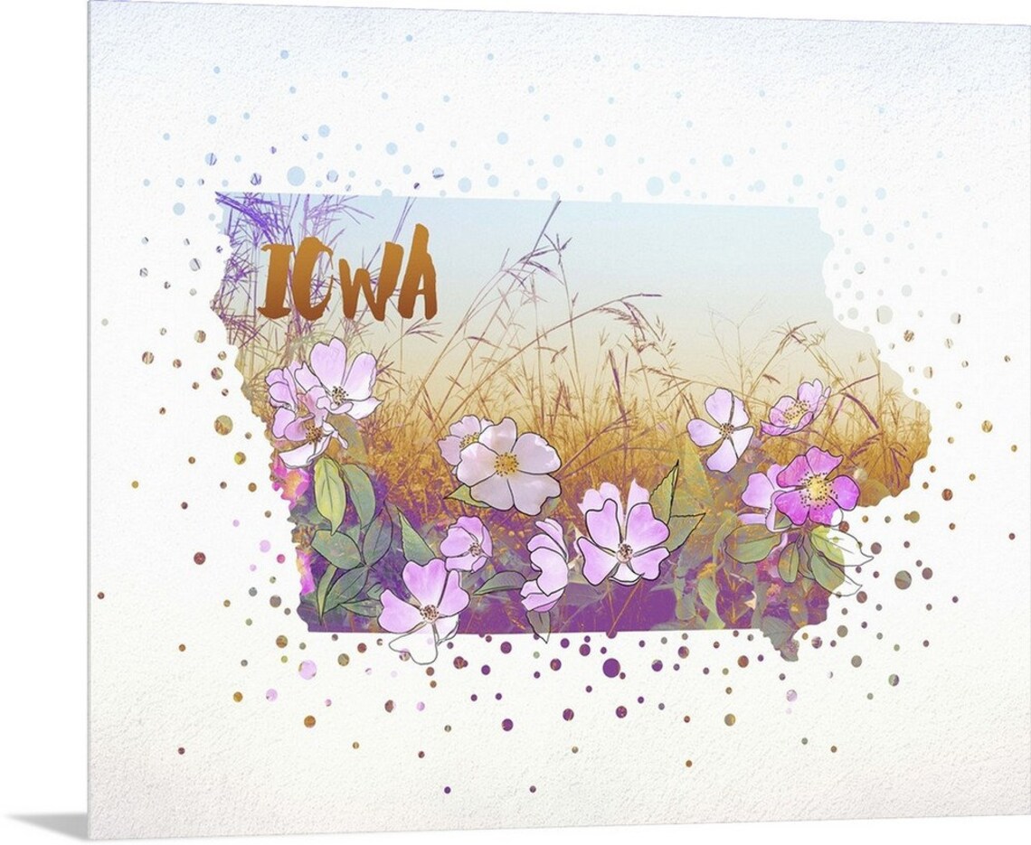 Iowa State Flower wild Rose Metal Wall Art Print - Etsy