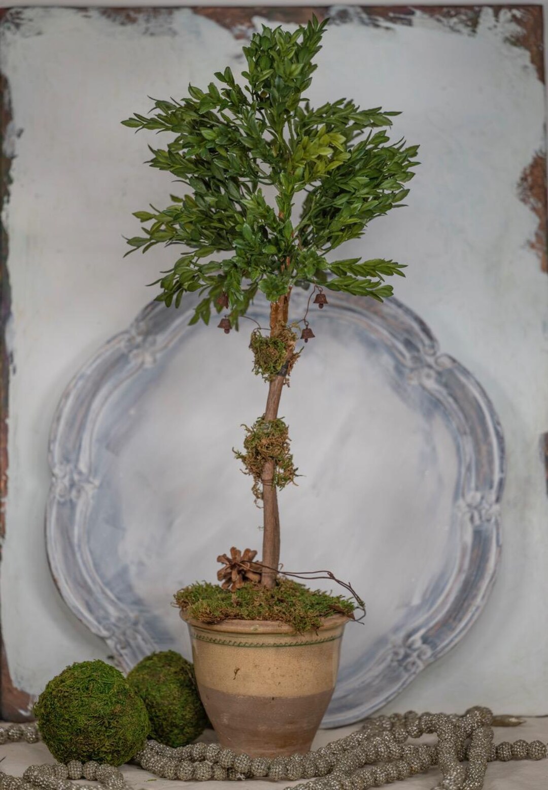 Hand Made Topiary in Vintage Ceramic Pot + Hand Thrown English Pot With ...