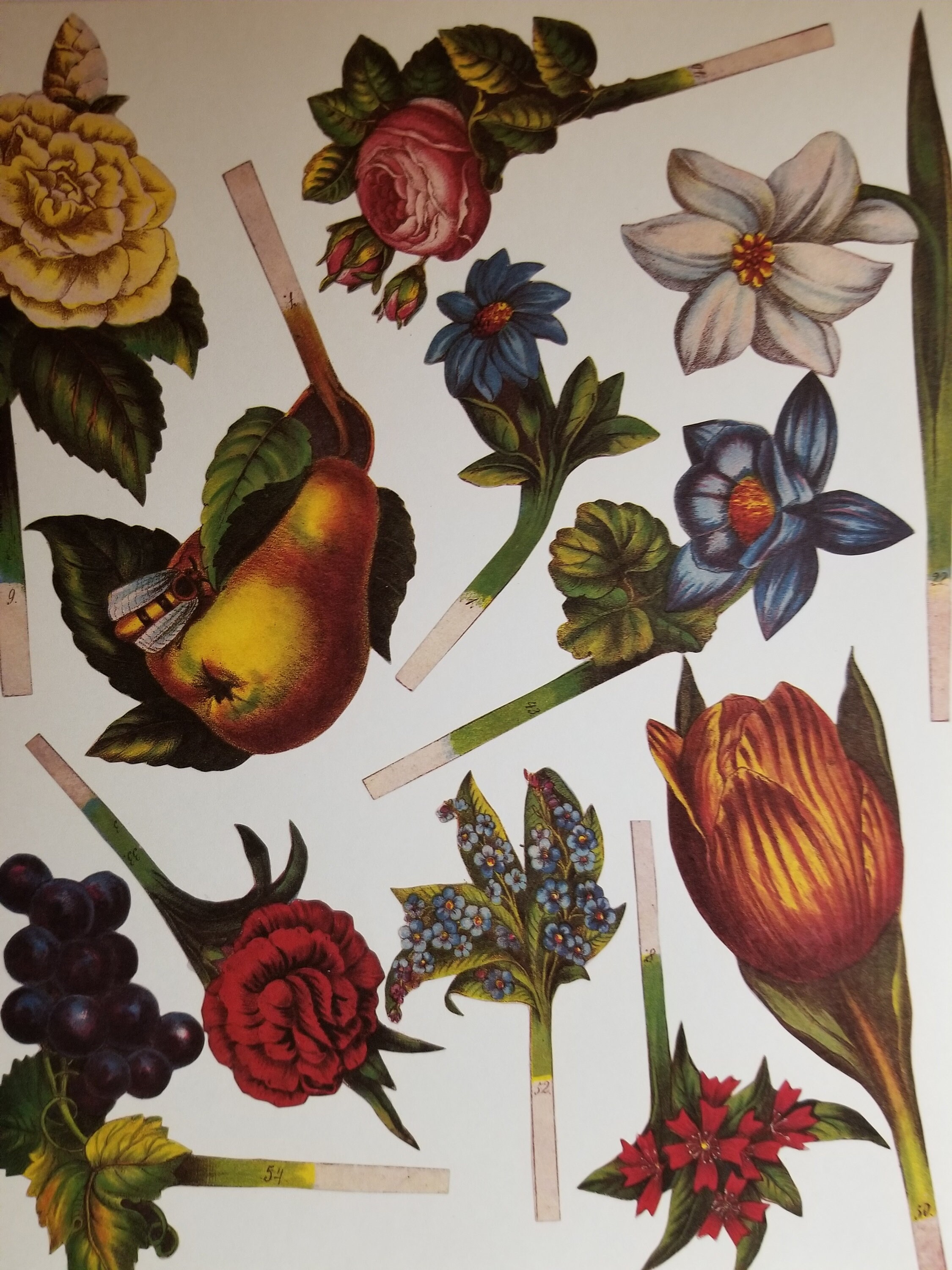 Vintage French Paper Cut Outs Parisian Cut Outs Redoute Flower Game Old ...