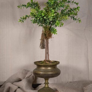 Elegant Faux Boxwood Topiary French Court Topiary Elegant Winter Decor ...