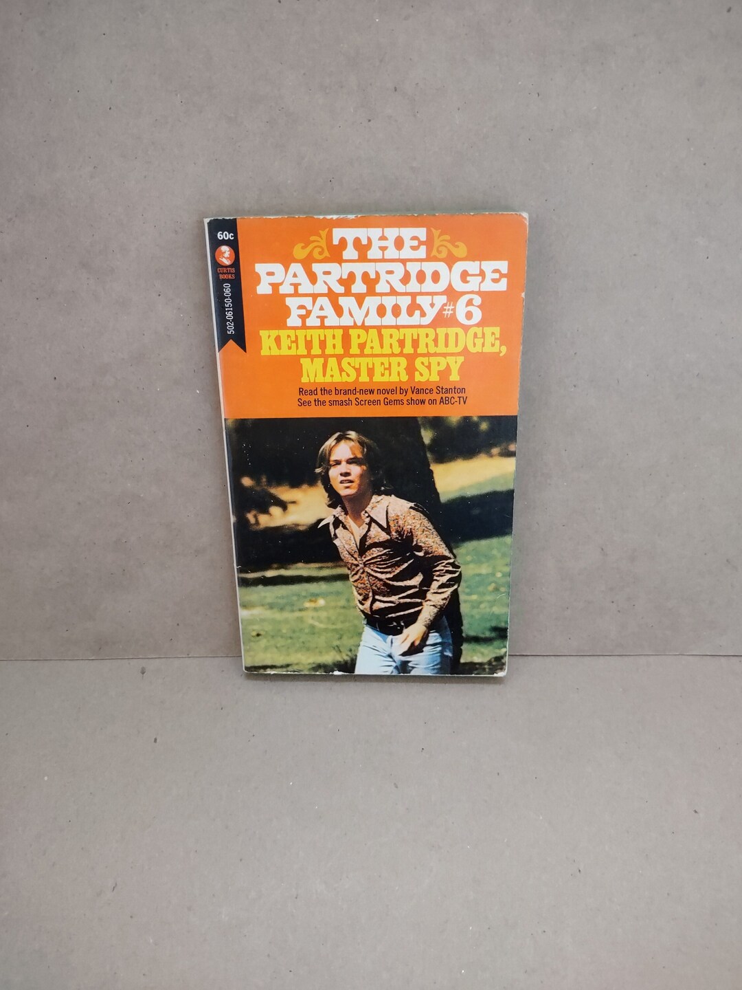 The Partridge Family 6 Keith Partridge Master Spy Paperback Book - Etsy