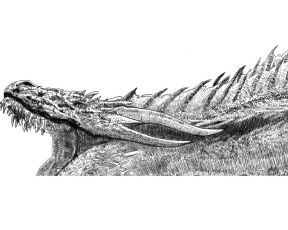 Game Of Thrones Dragon Drawing