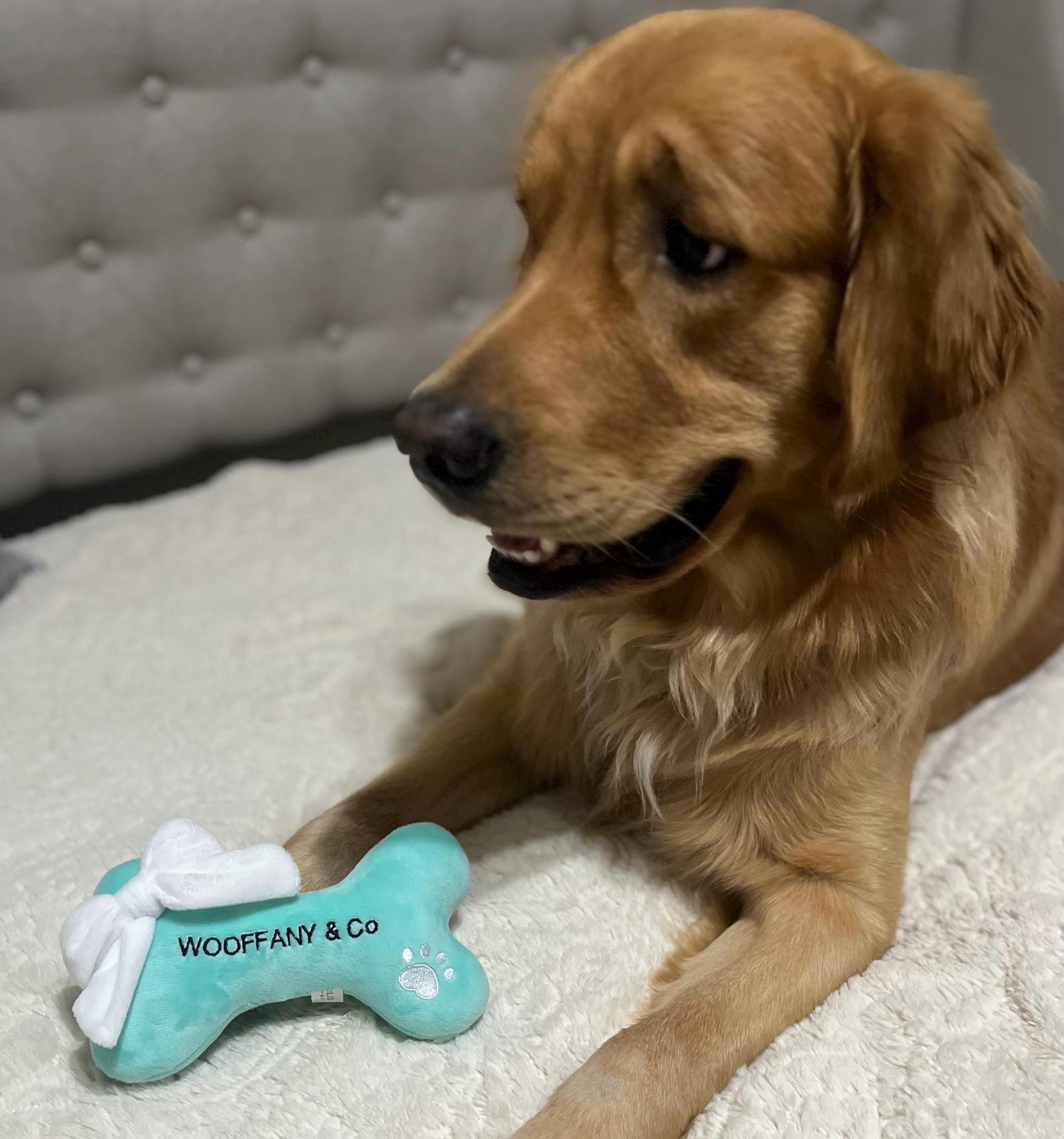 Teal Plush Dog Bone Toy: Handmade Squeaky Puppy Toy With Bow - Etsy
