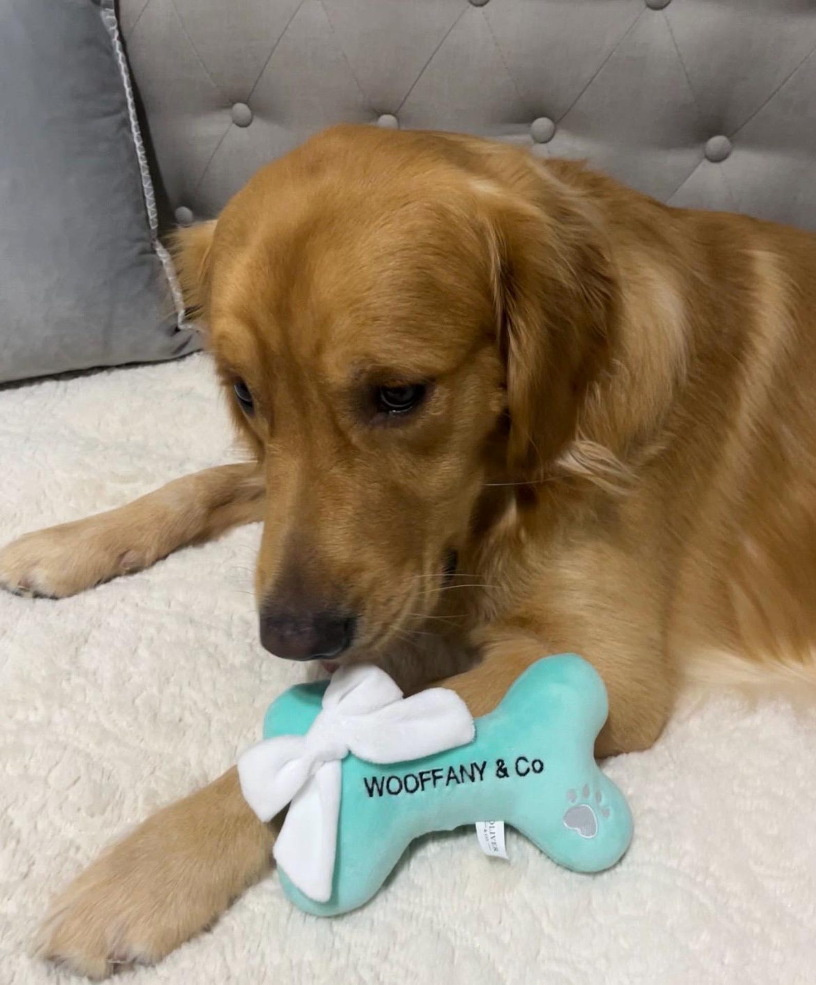 Teal Plush Dog Bone Toy: Handmade Squeaky Puppy Toy With Bow - Etsy