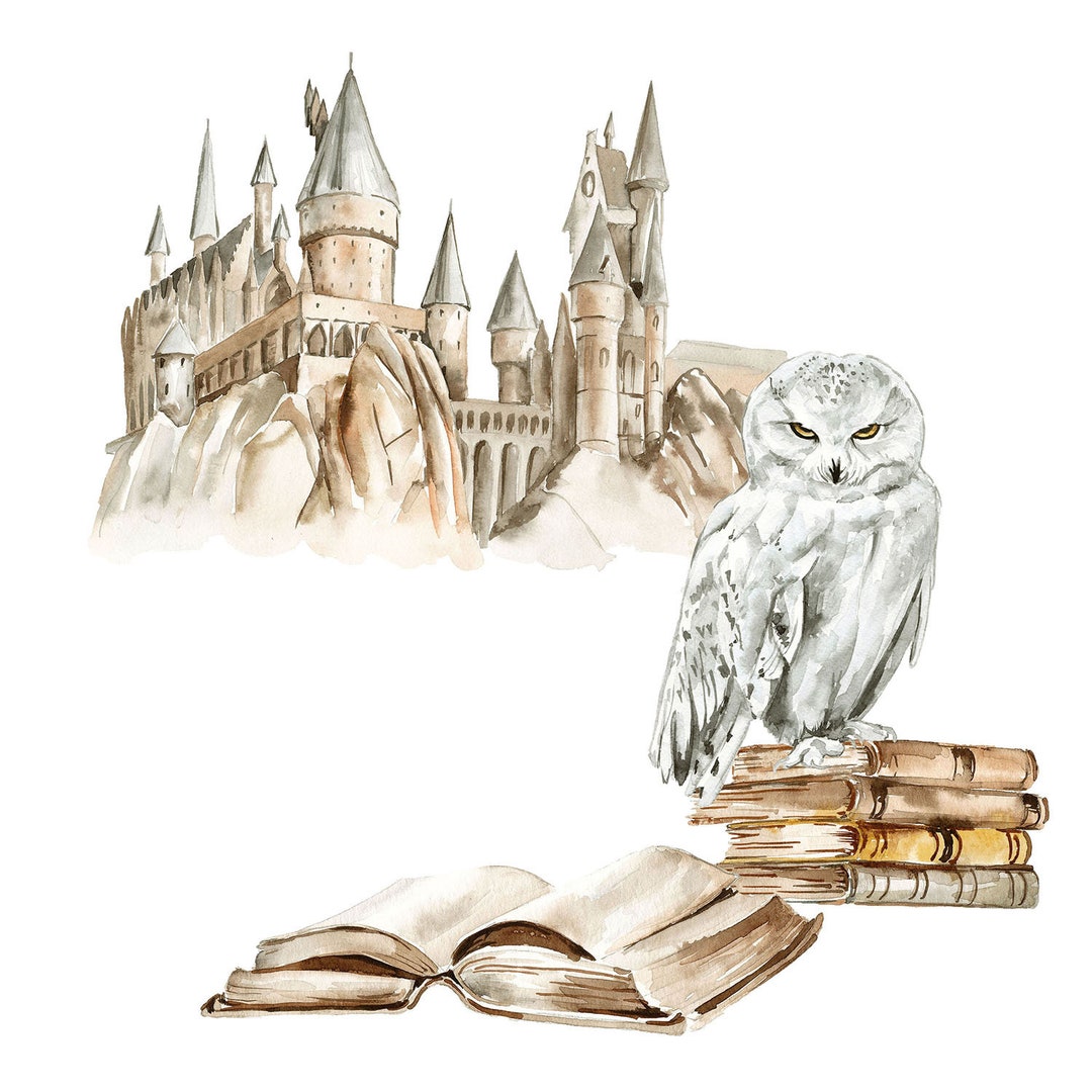 Wizard Fabric, Wizard Prints, Owl Fabric, Magic Fabric, Wizards Fabric ...