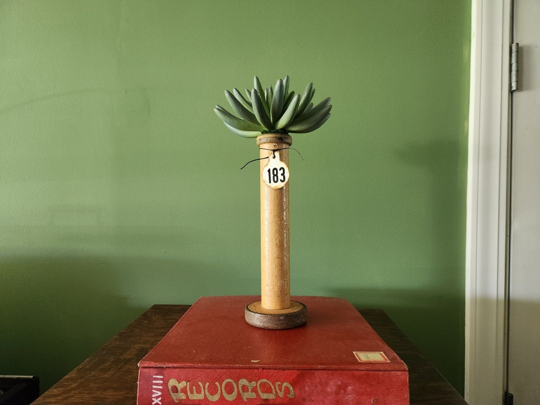 Beautiful Wood Spool, Large Antique Spool, With Cow Tag and Faux ...