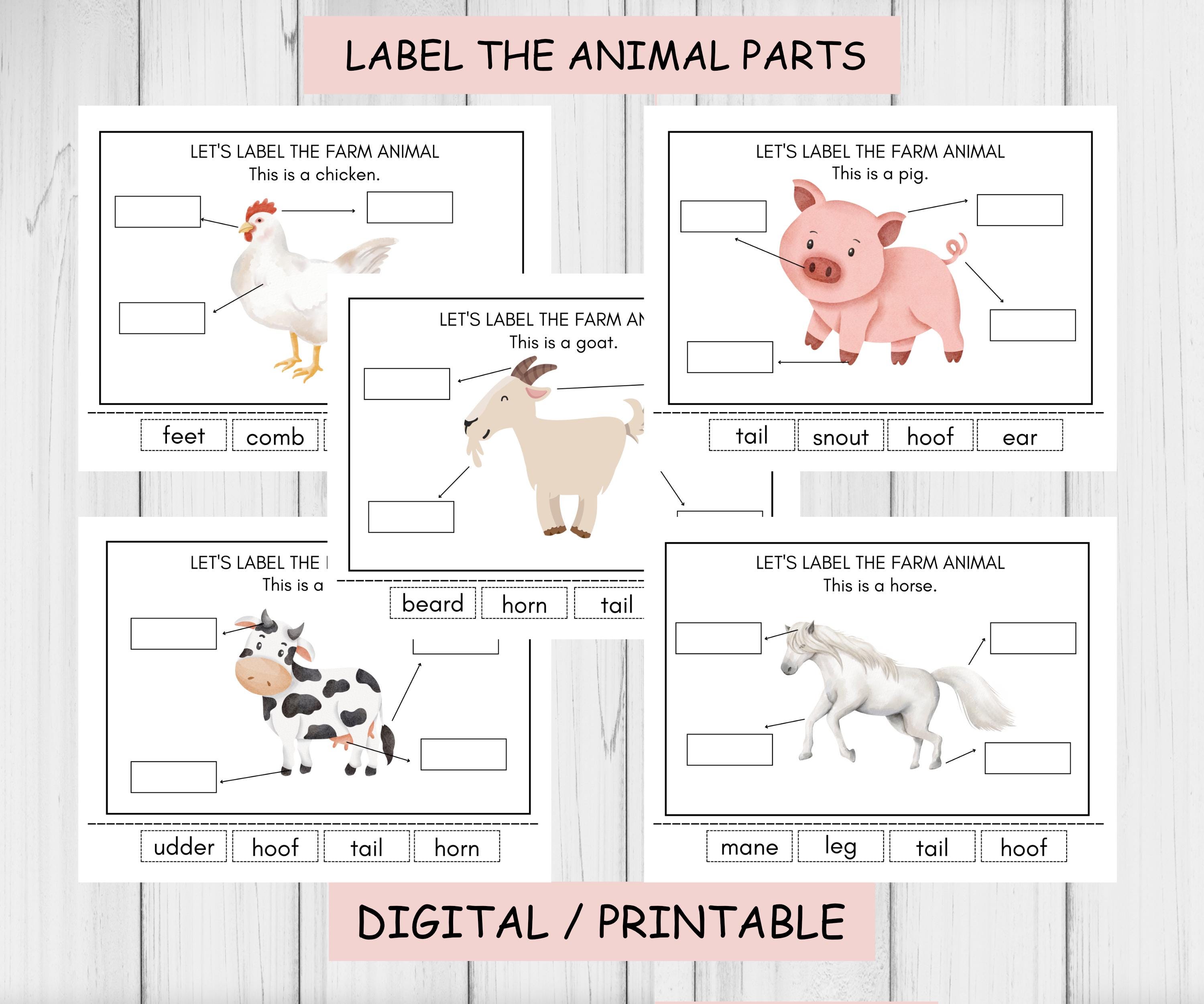 Farm Animals, Label the Farm Animals, Digital Printable, Learning ...