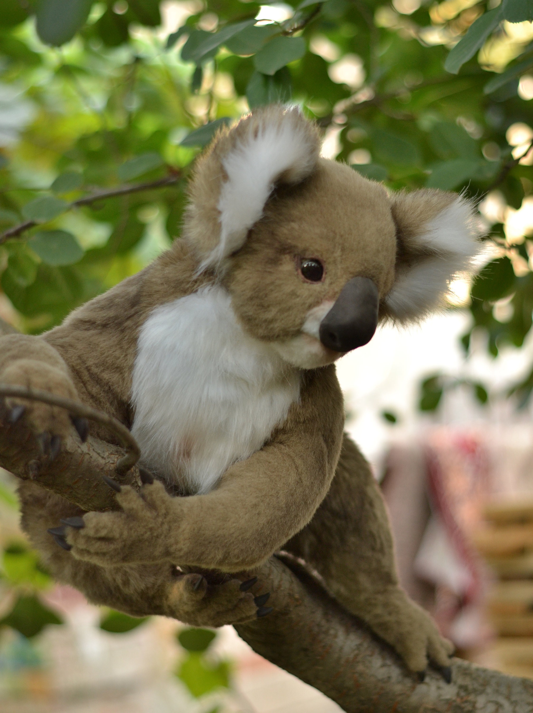 Koala Toy Koala Gifts Home Decor Koala Lover Gift Realistic | Etsy