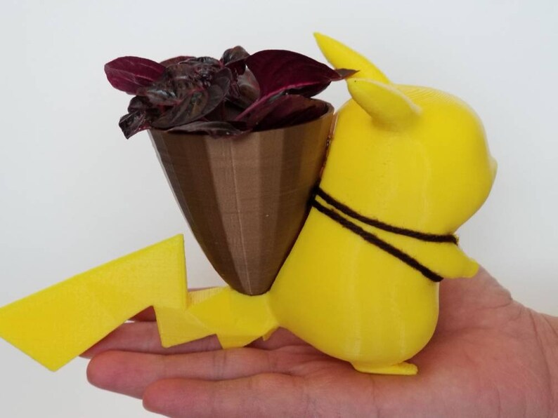 Pikachu Pokemon Valentines Hanging Planter Eevee Vase Pokemon - Etsy