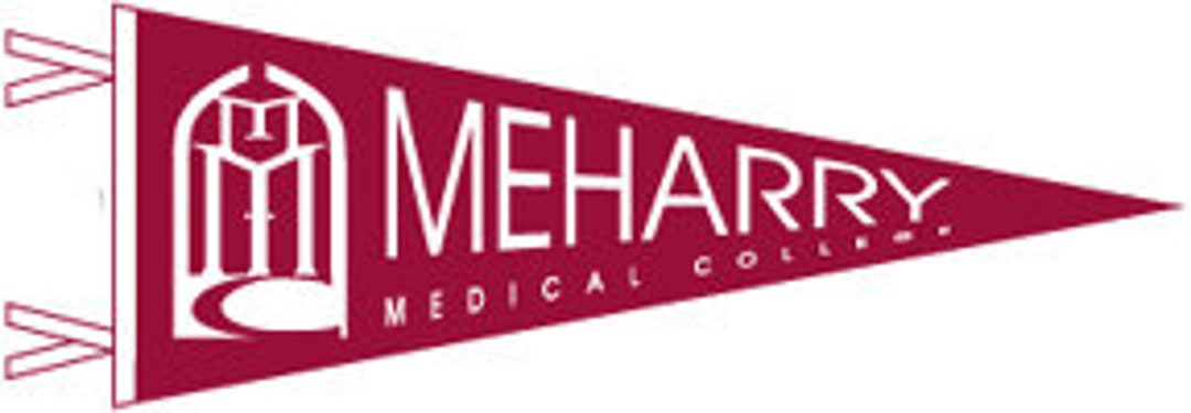 Meharry Medical College Wool Felt Pennant - Etsy