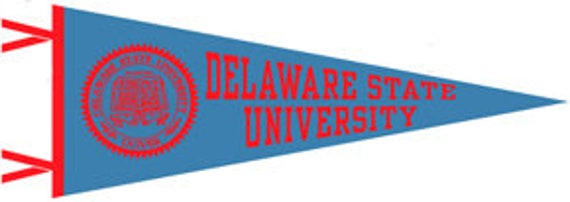 University Of Delaware Flag
