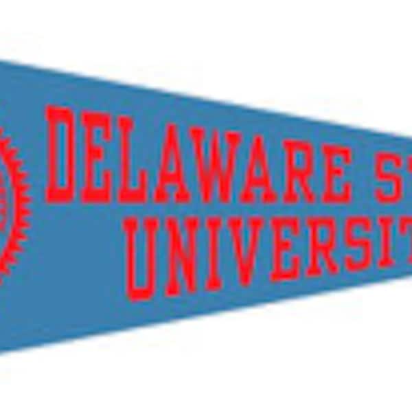 Delaware State University - Etsy