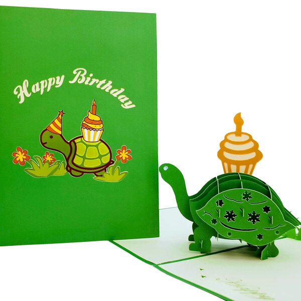 Turtle Birthday Card - Etsy