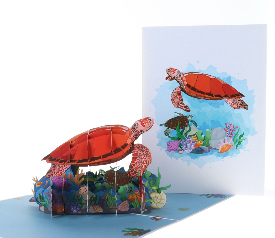 Cool Sea Turtle 3D Pop up Greeting Card Under the Sea Card - Etsy
