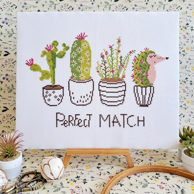 Cactus Matches - Etsy
