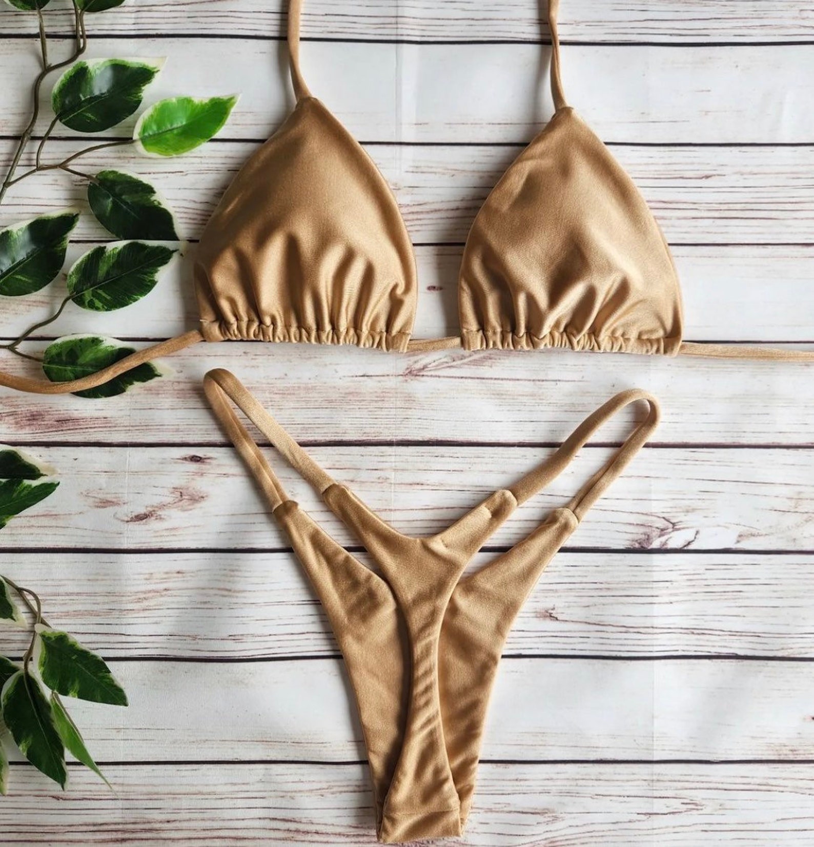 Bikini Afrodite Classic Thong Bikini Low Rise With V Etsy