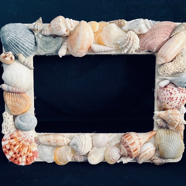 Seashell Frame - Etsy