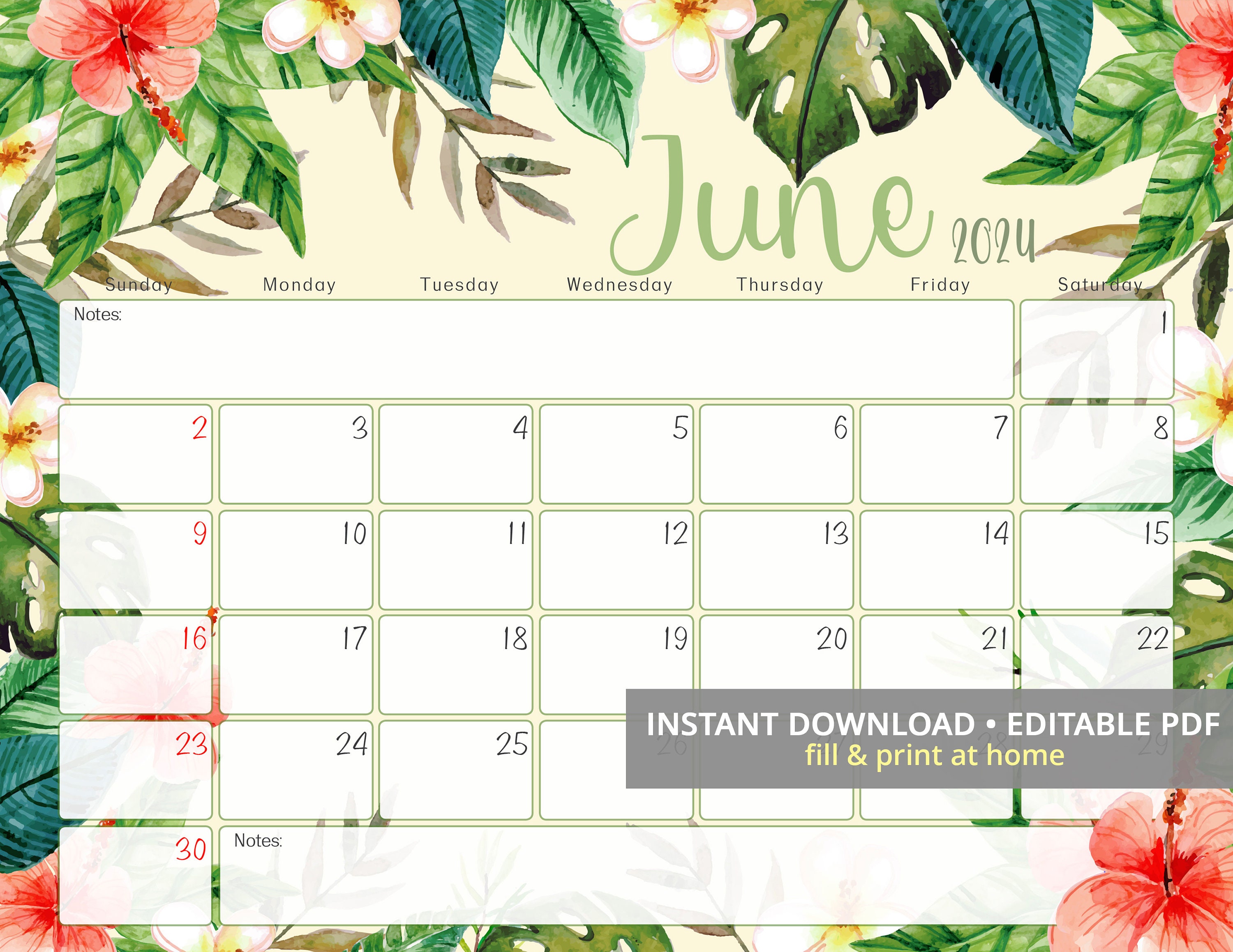 Editable June 2024 Calendar With Tropical Leaves and Monstera, Wall ...