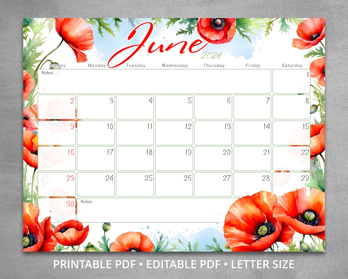 Editable June 2024 Calenda With Bright Poppies Flowers, Summer Wall ...