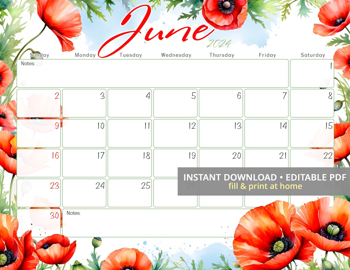 Editable June 2024 Calenda With Bright Poppies Flowers, Summer Wall ...