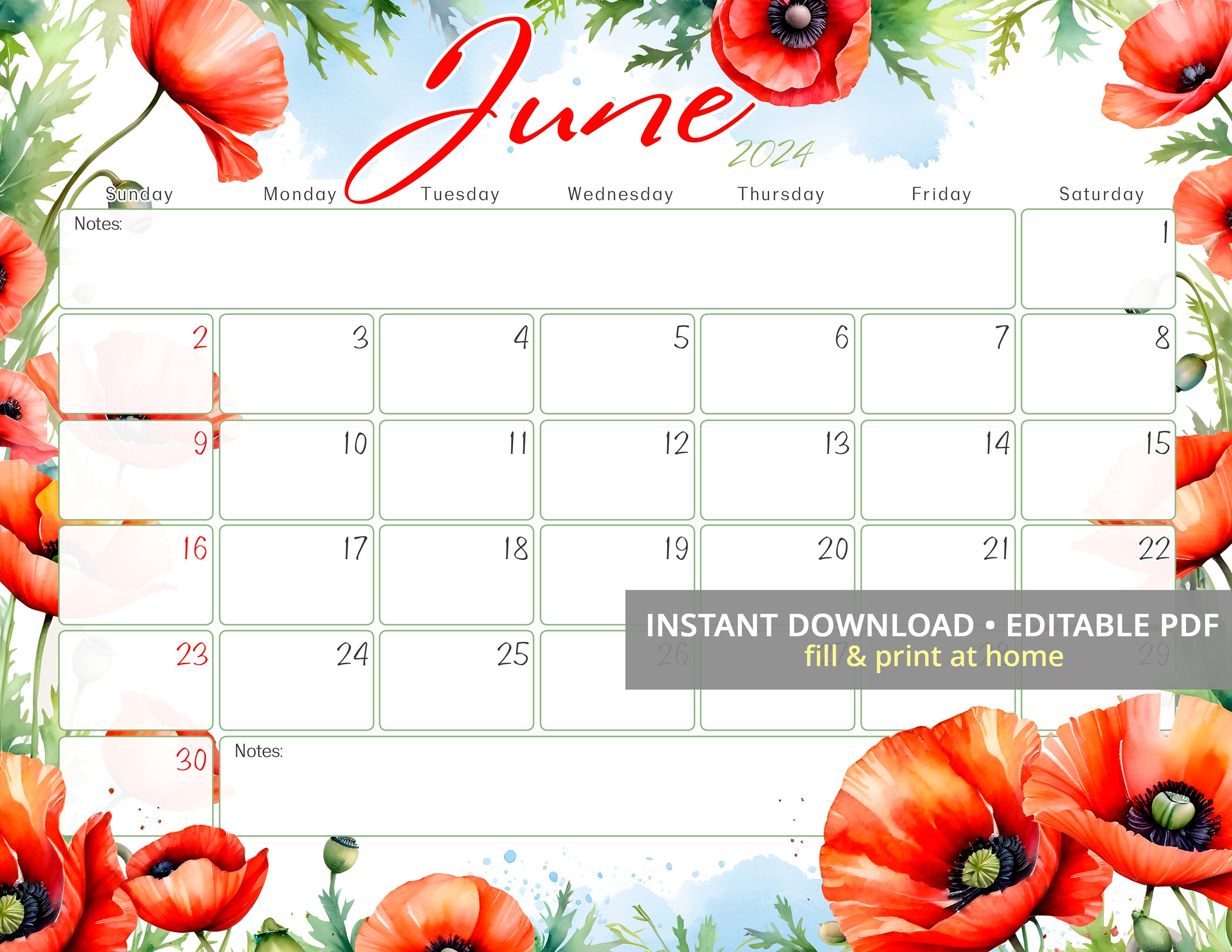 Editable June 2024 Calenda With Bright Poppies Flowers, Summer Wall ...