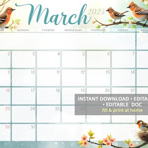 Editable March 2025 Calendar, Wall Calendar With Birds, Spring Day ...