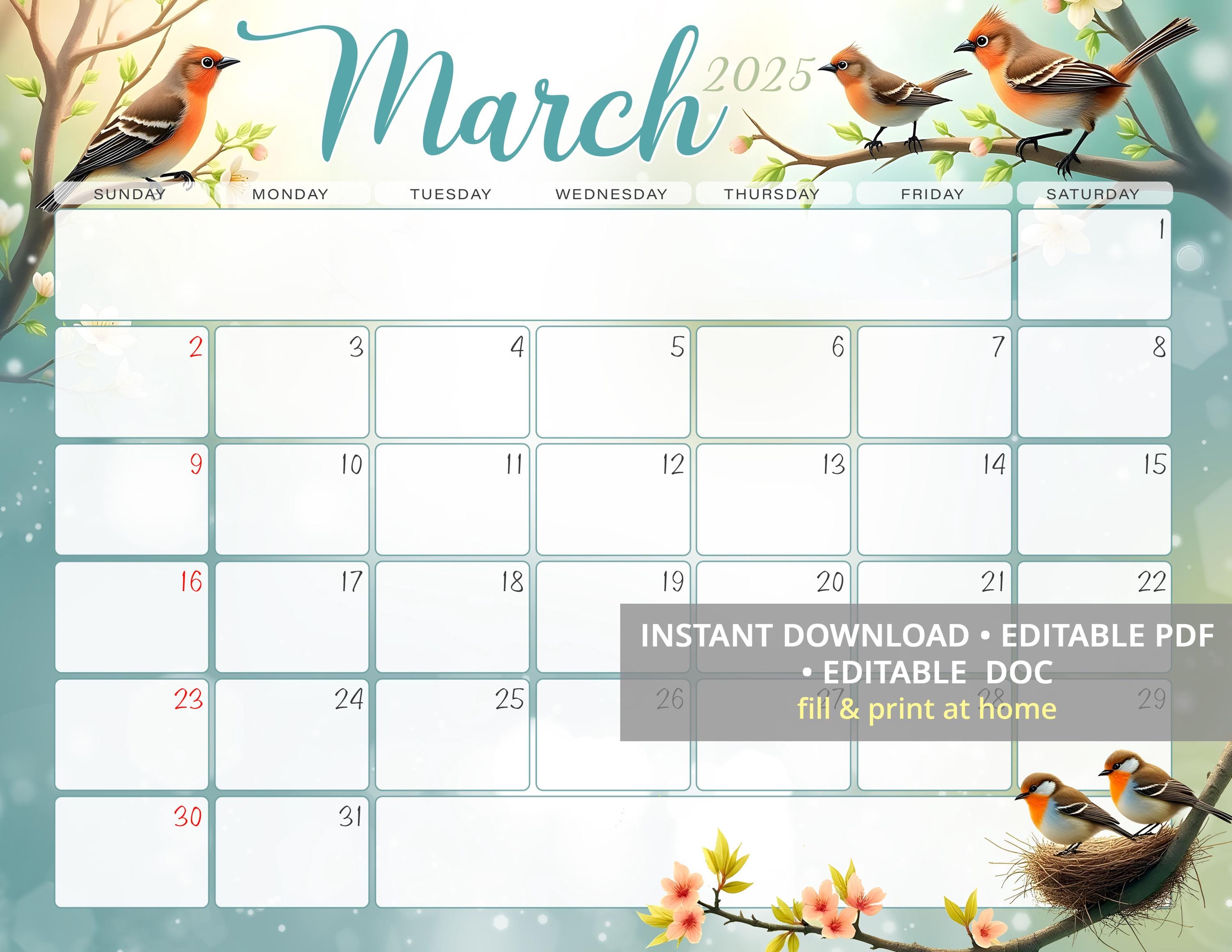 Editable March 2025 Calendar, Wall Calendar With Birds, Spring Day ...
