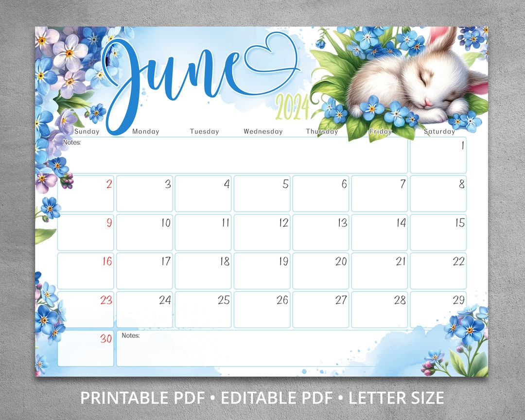 Editable June 2024 Calendar With the Cute Sleeping Rabbit in the Forget ...