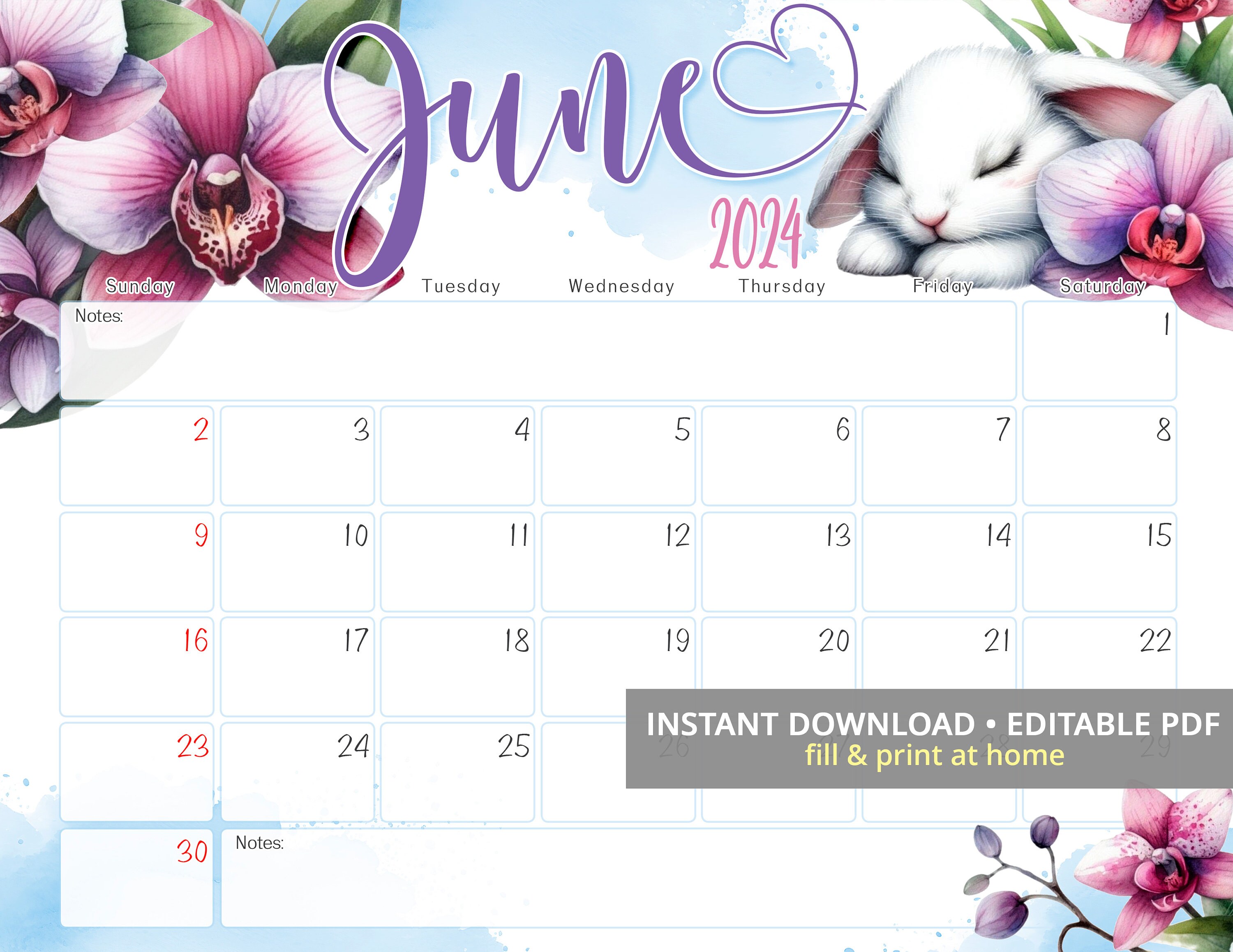 Buy Editable June 2024 Calendar With Sleeping Rabbit and Orchids ...