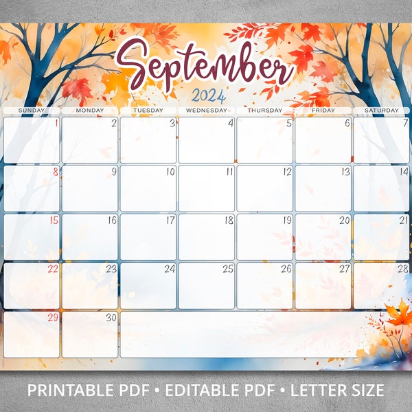 Editable August 2024 Calendar, Printable August Calendar, Digital ...