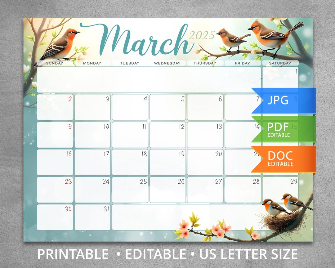 Editable March 2025 Calendar, Wall Calendar With Birds, Spring Day ...