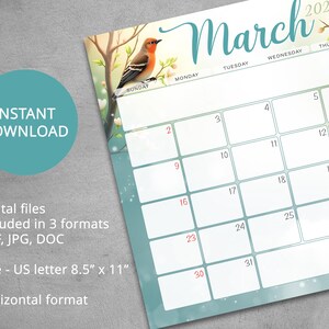 Editable March 2025 Calendar, Wall Calendar With Birds, Spring Day ...