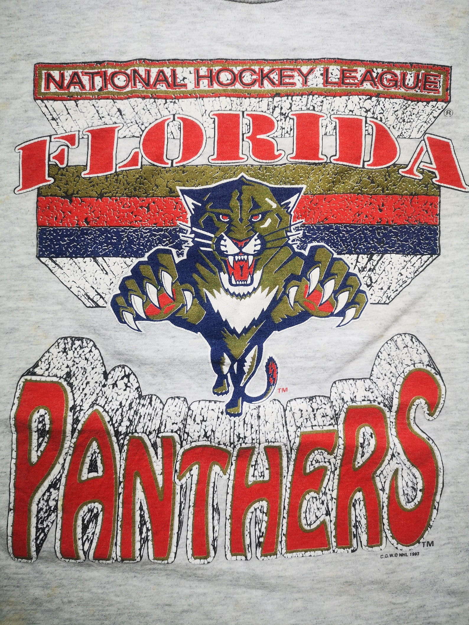 Vintage Florida Panthers 90s T Shirt Size S Etsy