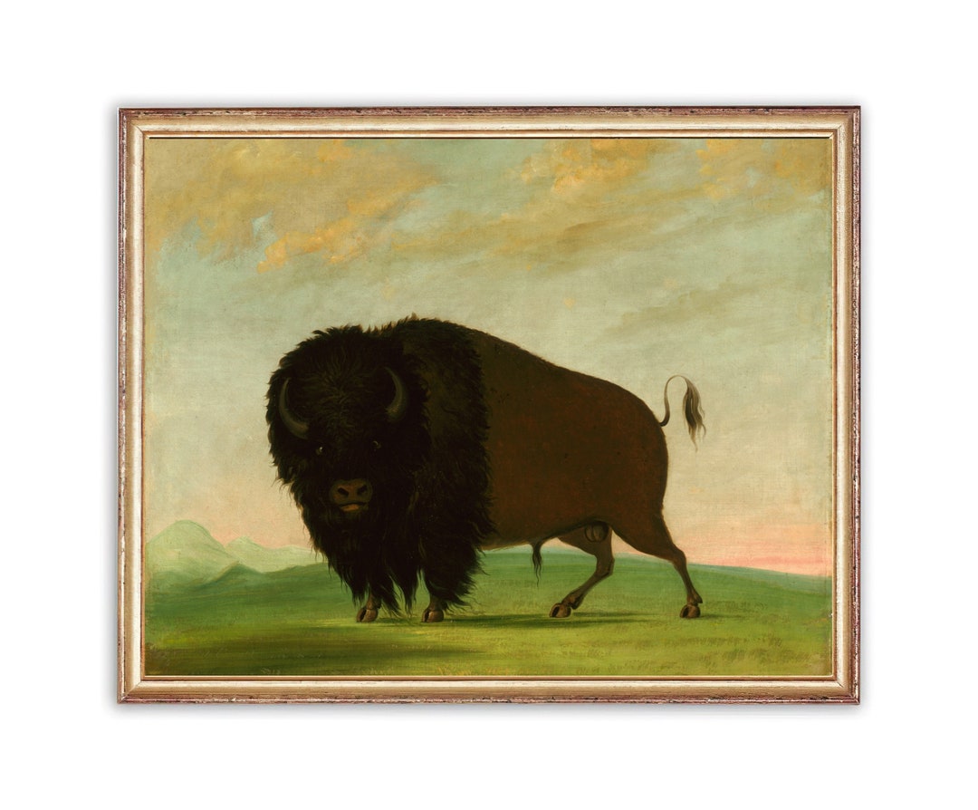 Vintage American Bison Painting | Antique Animal Portrait Artwork ...