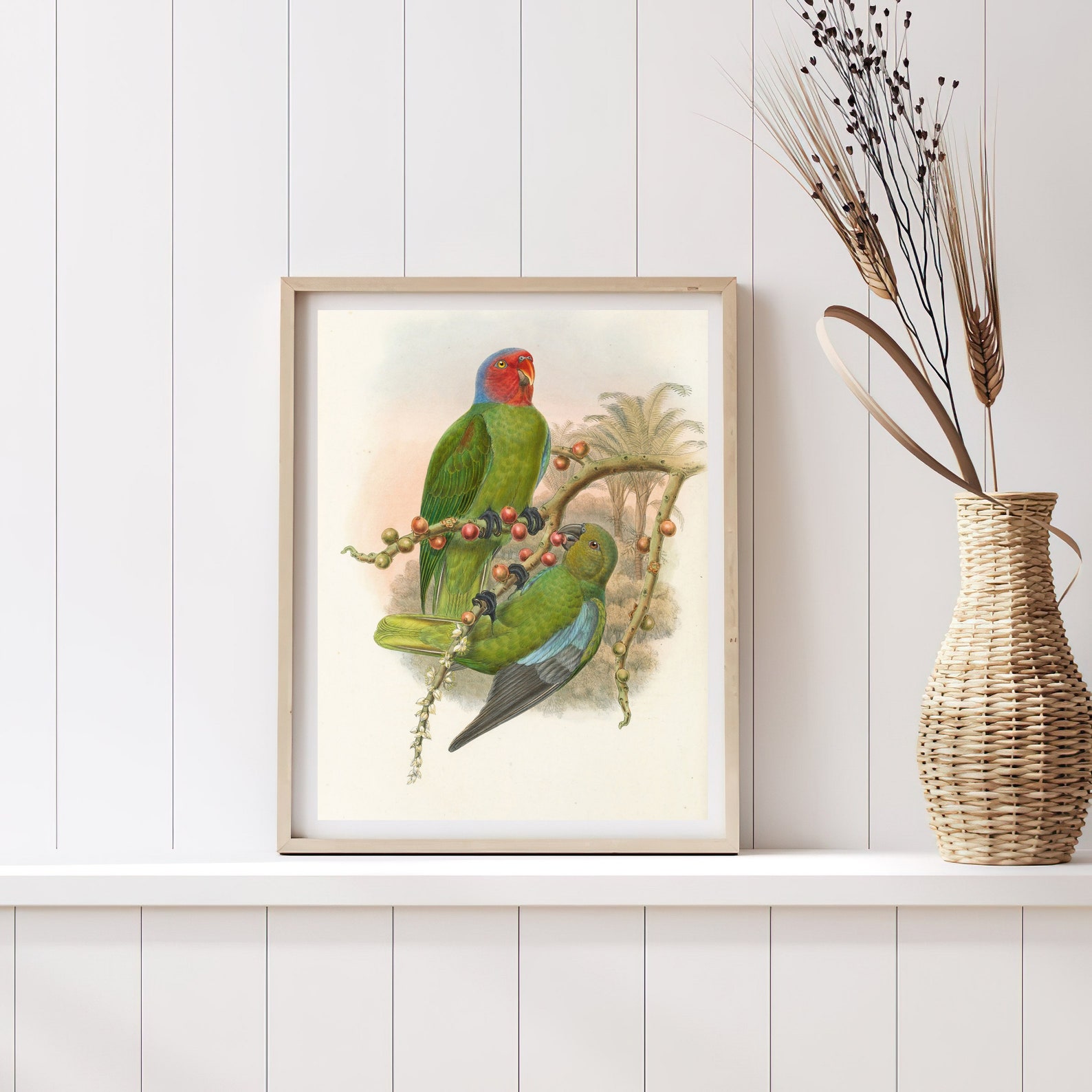 Vintage Parrots Painting | Antique Birds Artwork | Classic Animal ...