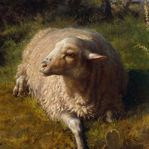 Vintage Sheep Painting | Antique Animal Portrait Artwork | Classic Farm ...