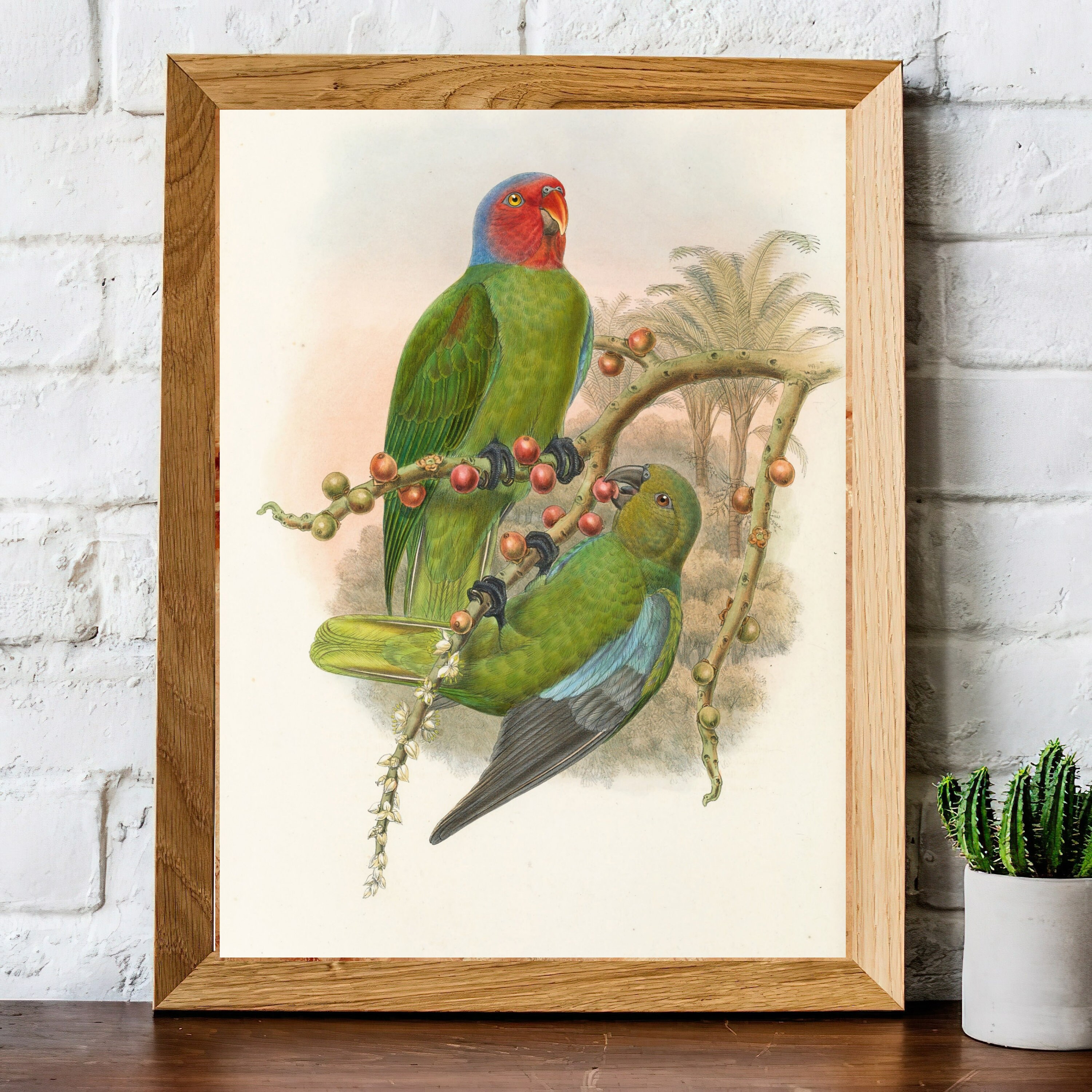 Vintage Parrots Painting | Antique Birds Artwork | Classic Animal ...