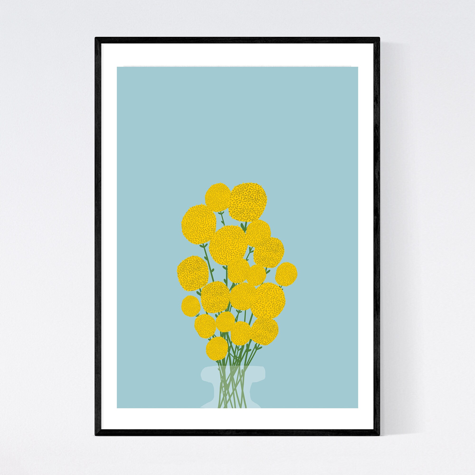 Billy Buttons Art Print Botanical Illustration Australian - Etsy