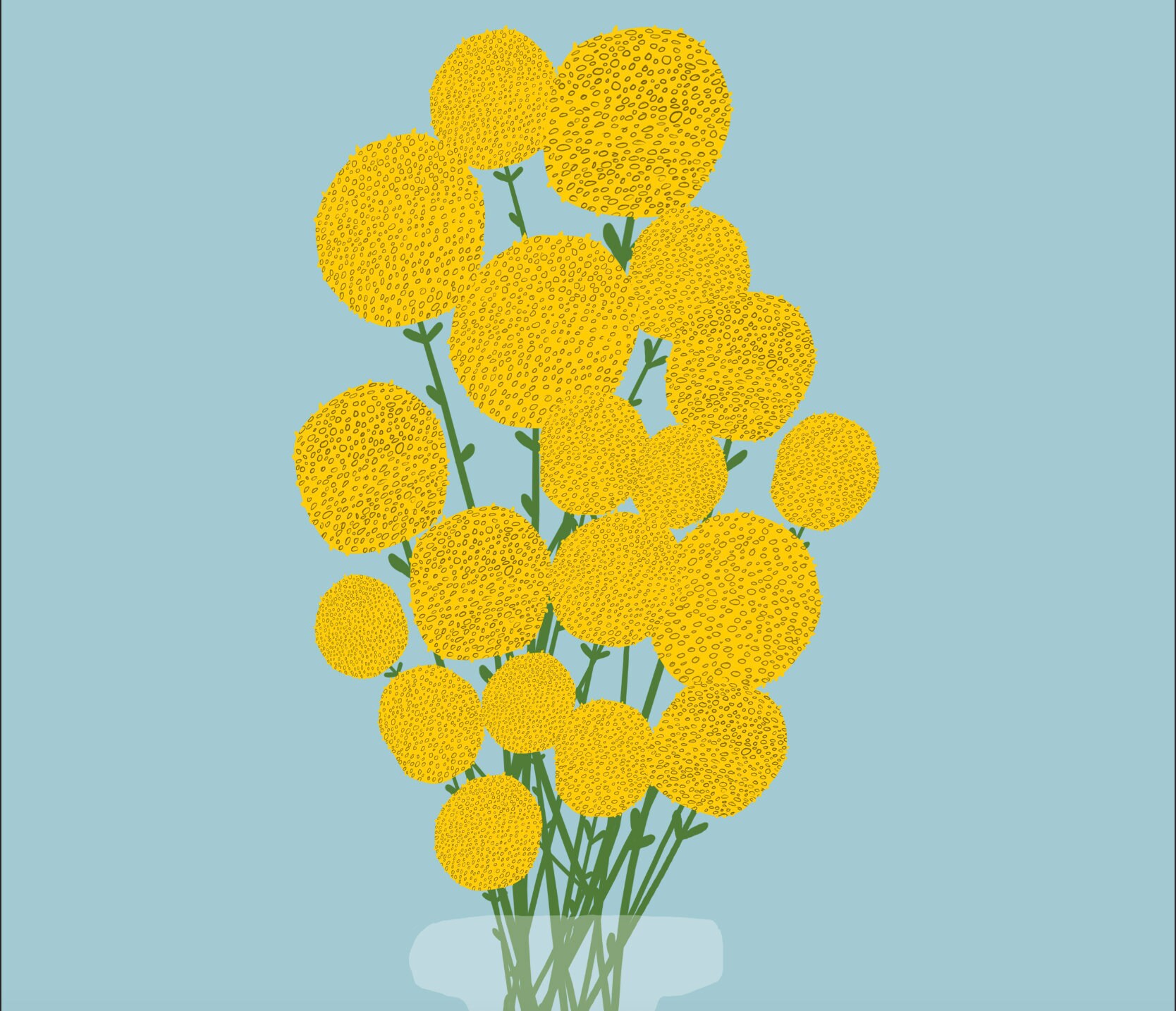 Billy Buttons Art Print Botanical Illustration Australian - Etsy