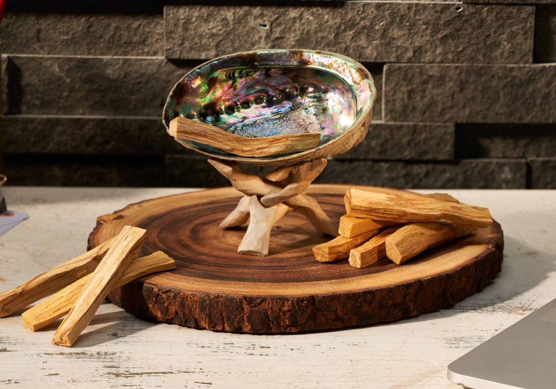 Abalone Shell 6-inch With Stand Sustainably Collected for - Etsy